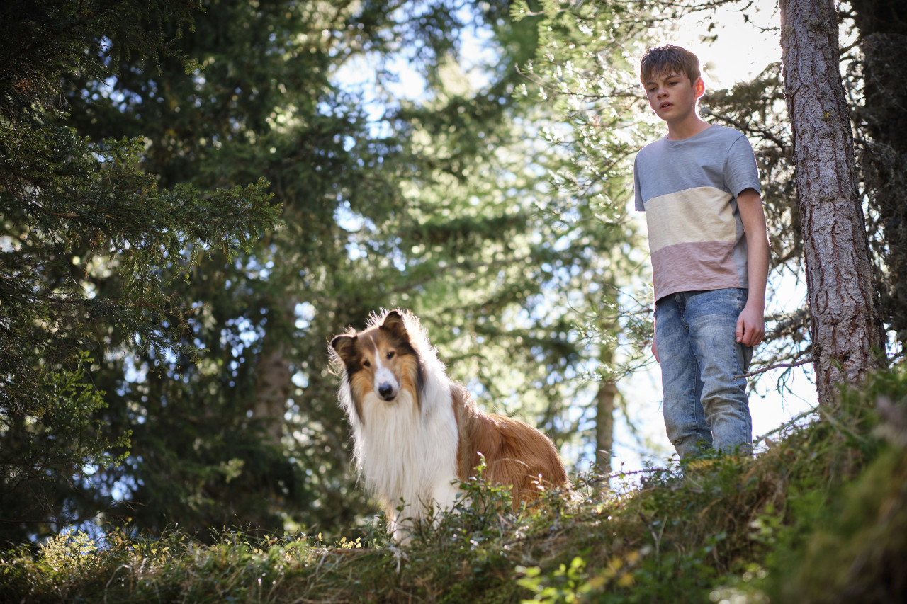 LASSIE – EIN NEUES ABENTEUER | Kino | Constantin Film Österreich